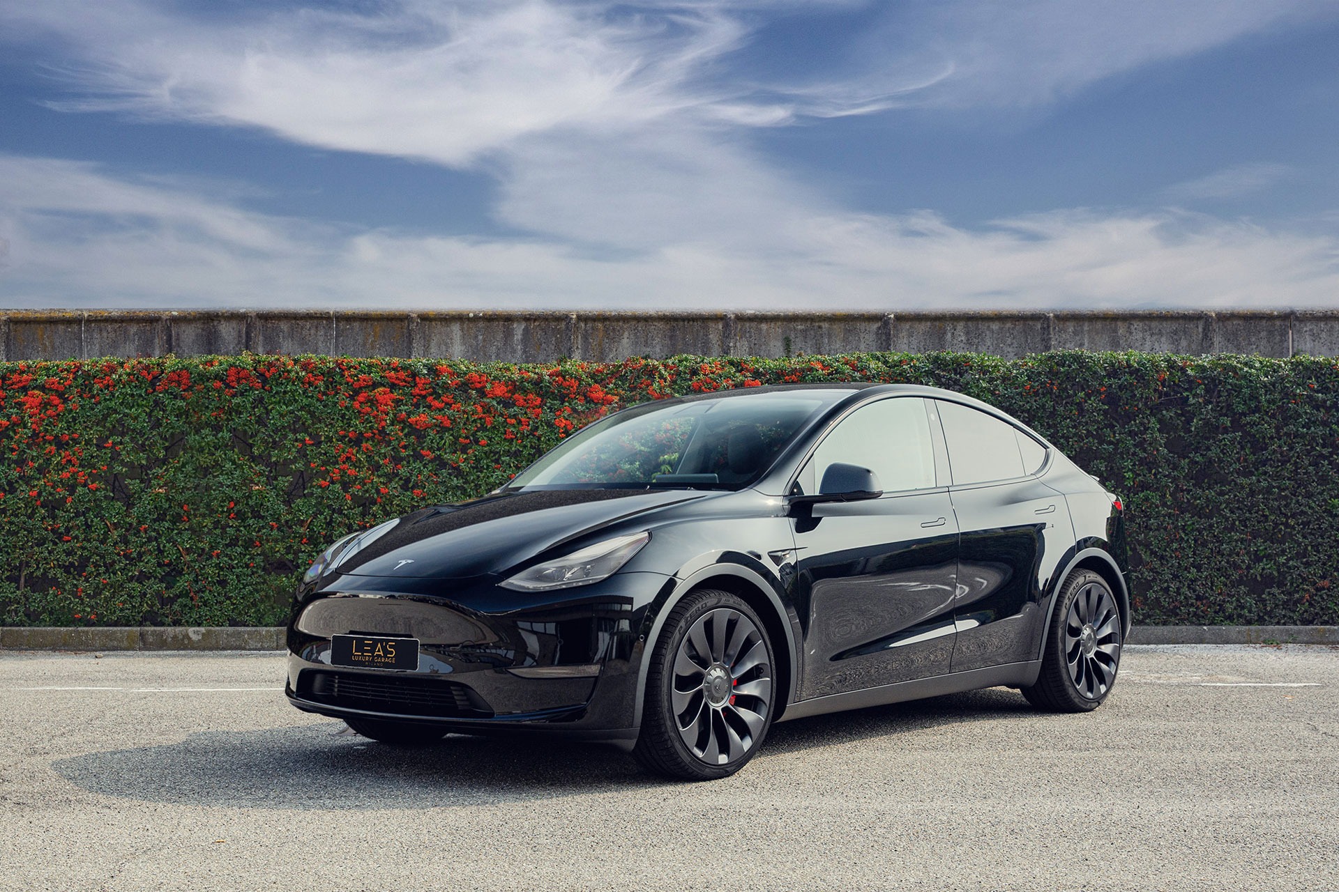 Tesla Model Y Performance Tesla Model Y Performance
